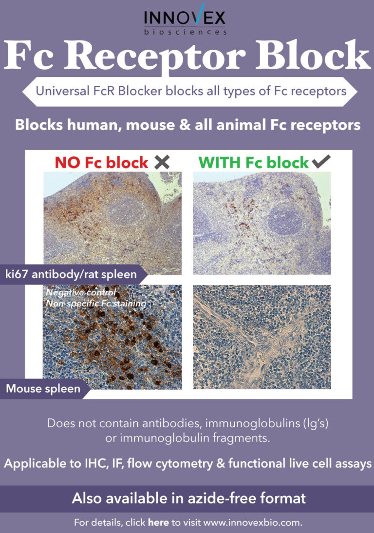 Fc Receptors Blocker (Ready-To-Use) contains azide – Innovex